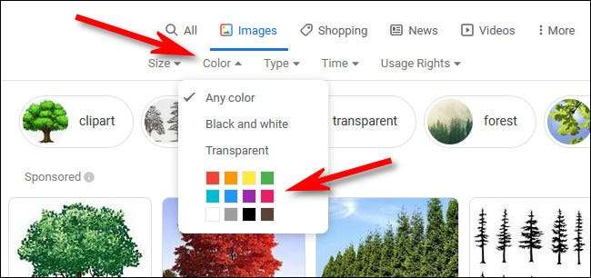 How to Filter Google Image Search Results by Color - TheFastCode